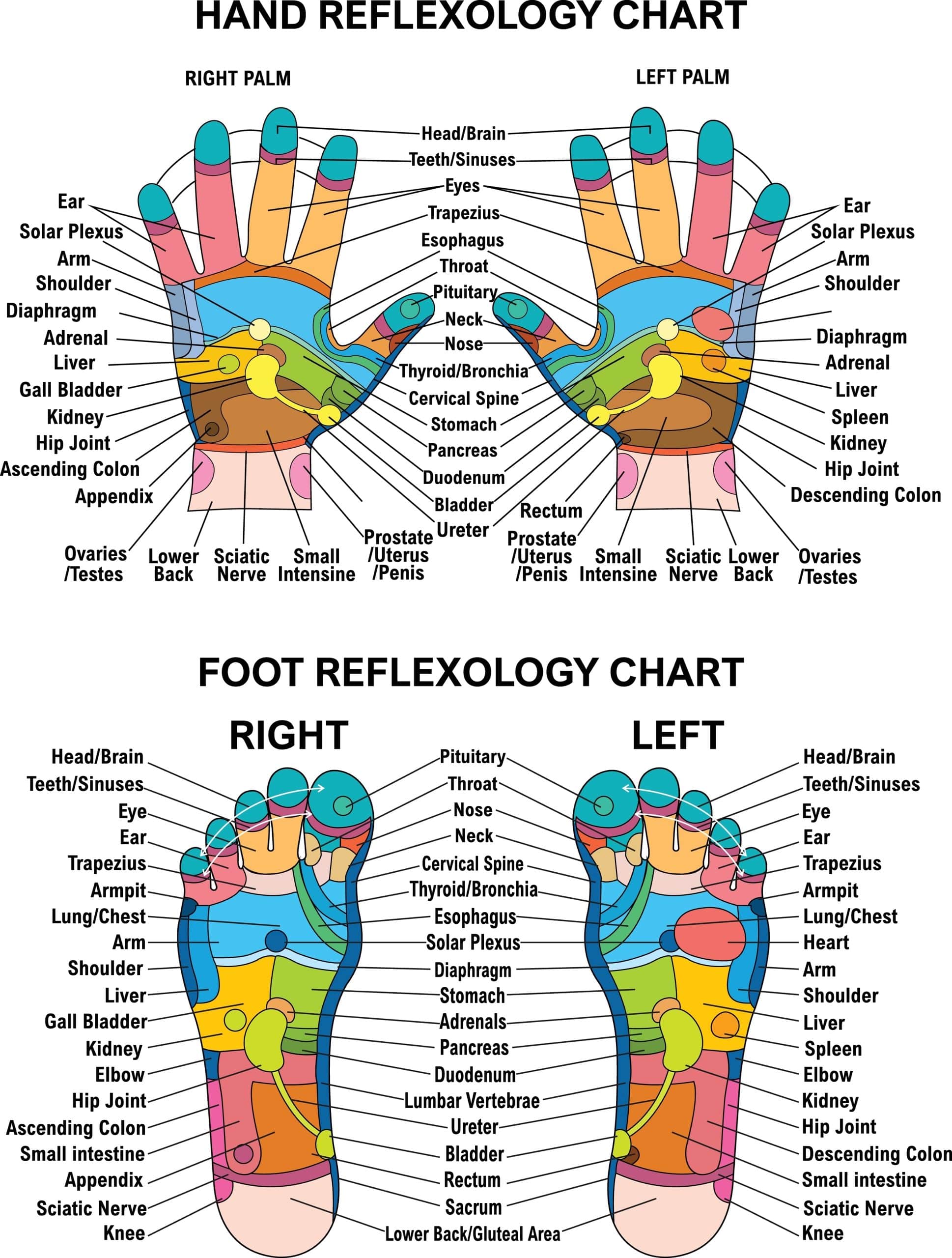 Best Holistic Reflexology | Balance & Wellness | 640 Health